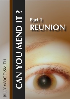 An Interrupted Love Story (Can You Mend It? #1) by Billy Wood-Smith ...