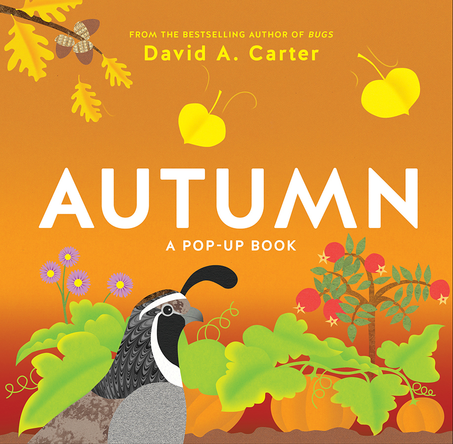Autumn: A Pop-Up Book (Seasons Pop-up) by David A. Carter | Goodreads