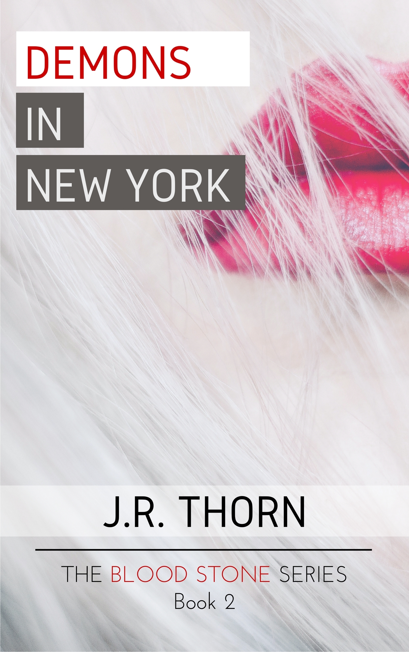 Demons in New York (Blood Stone, #2) by J.R. Thorn | Goodreads