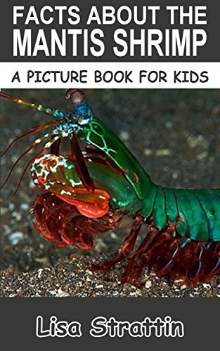 Facts About the Mantis Shrimp by Lisa Strattin | Goodreads