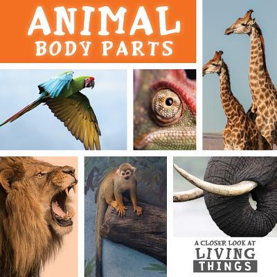 Animal Body Parts by Steffi Cavell-Clarke | Goodreads