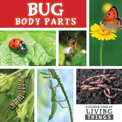 Bug Body Parts (Closer Look at Living Things) by Steffi Cavell-Clarke ...
