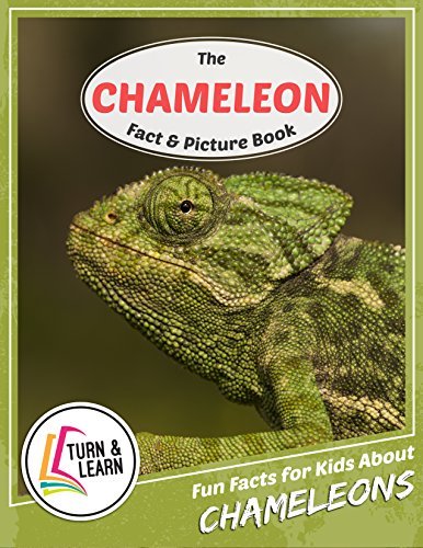 The Chameleon Fact and Picture Book: Fun Facts for Kids About ...