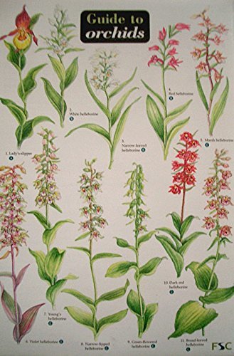 Guide to Orchids by Richard Gulliver | Goodreads
