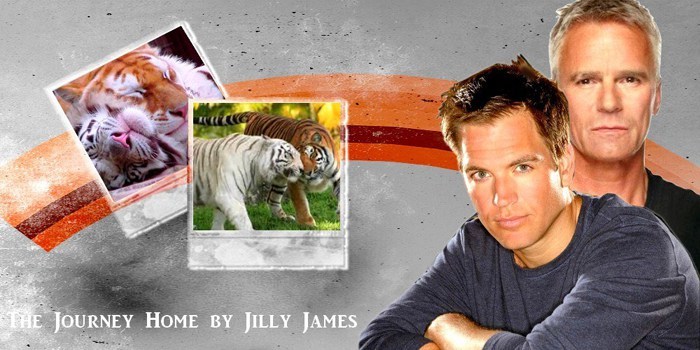 The Journey Home by Jilly James | Goodreads