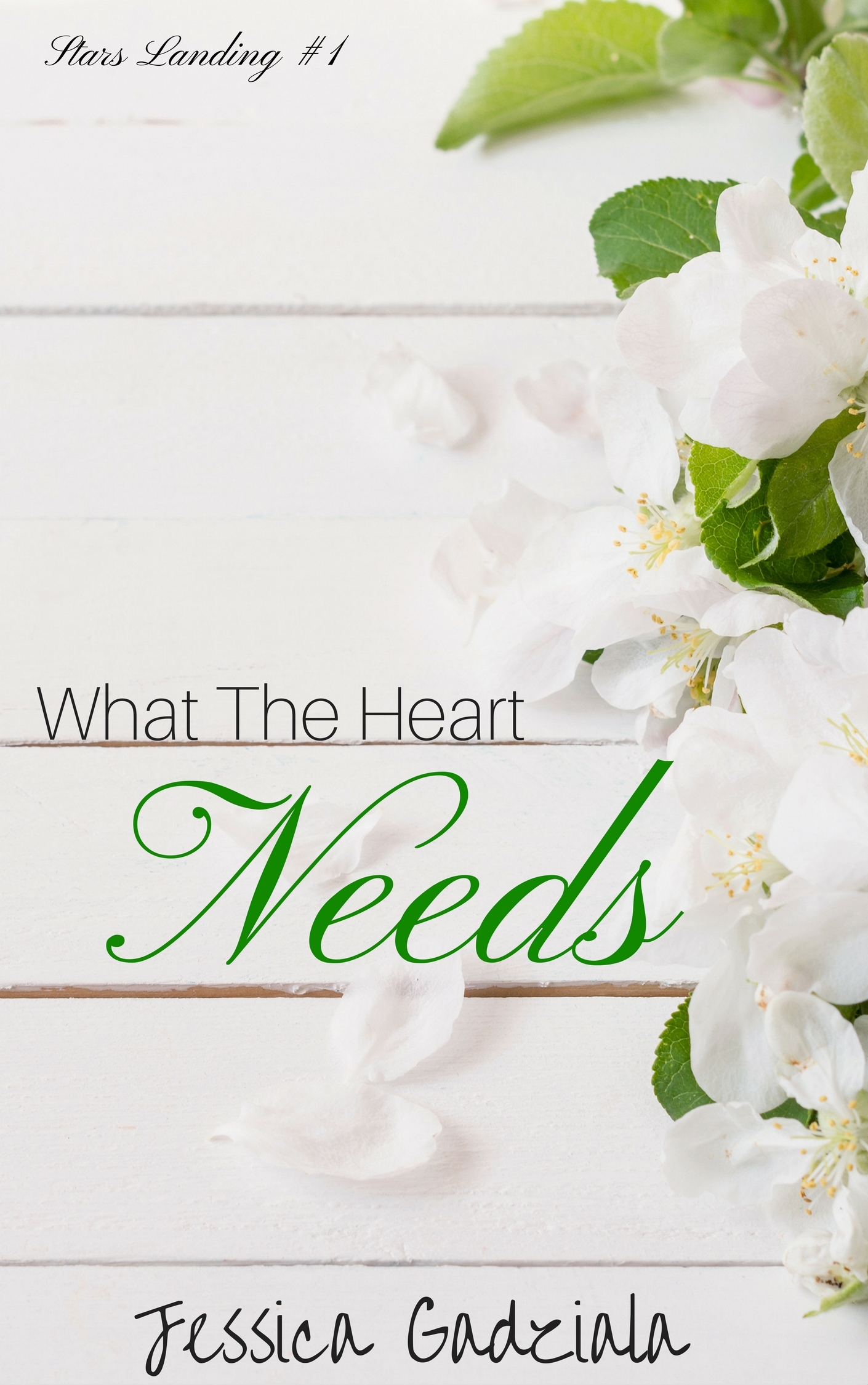 What The Heart Needs (Stars Landing, #1) by Jessica Gadziala | Goodreads