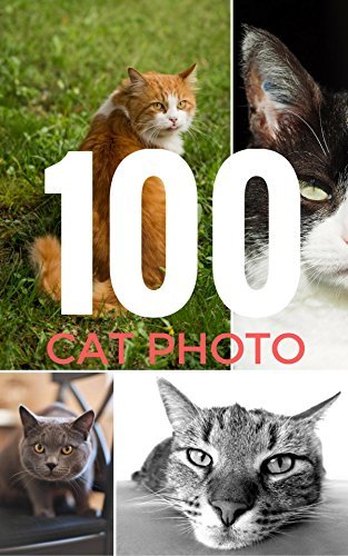 100 CAT Photobook: Why not you love CAT? by Moon Daisy | Goodreads