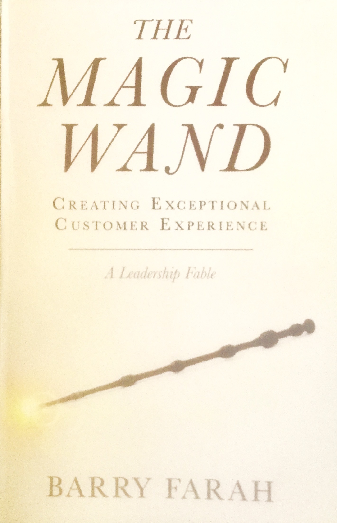 The Magic Wand Creating Exceptional Customer Experience by Barry Farah ...