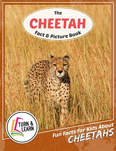 The Cheetah Fact and Picture Book: Fun Facts for Kids About Cheetahs by ...