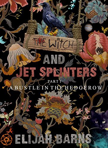 The Witch and Jet Splinters: Part 1: A Bustle In The Hedgerow by Elijah ...