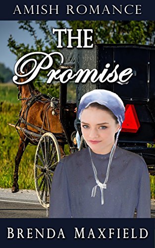 The Promise (Greta's Story Book 2) by Brenda Maxfield | Goodreads