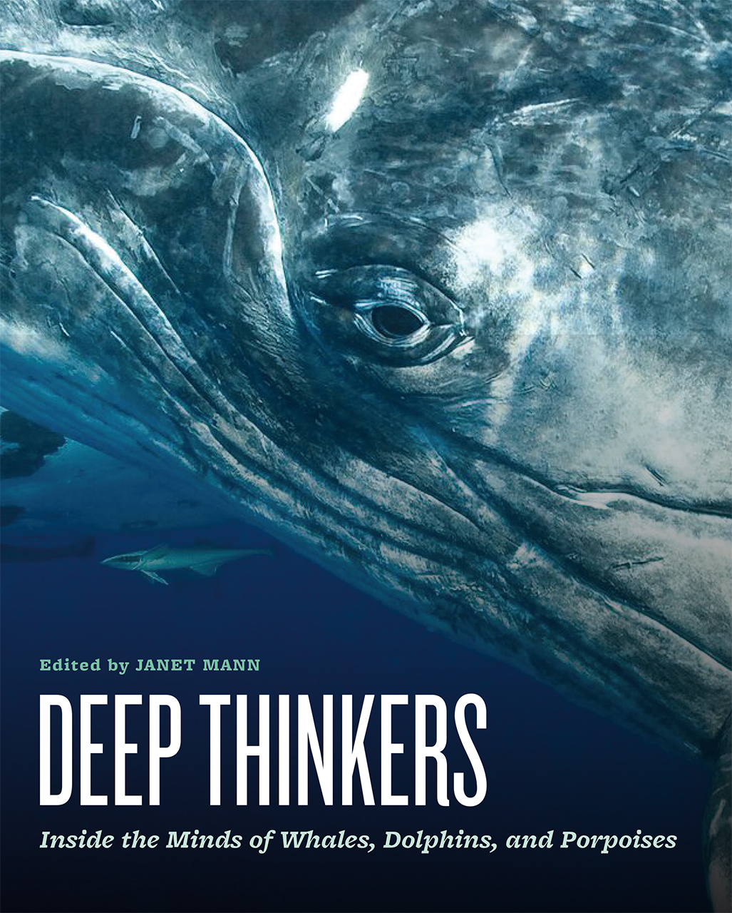 Deep Thinkers: Inside the Minds of Whales, Dolphins, and Porpoises by ...