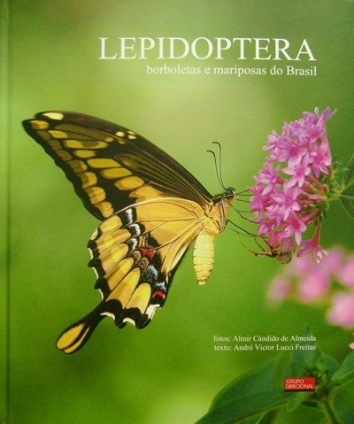 Lepidoptera - Borboletas e Mariposas do Brasil by André Victor Lucci ...