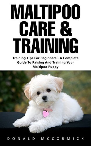 Maltipoo Care & Training: Training Tips For Beginners - A Complete ...