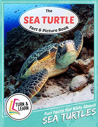 The Sea Turtle Fact and Picture Book: Fun Facts for Kids About Sea ...