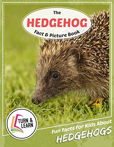 The Hedgehog Fact and Picture Book: Fun Facts for Kids About Hedgehogs ...