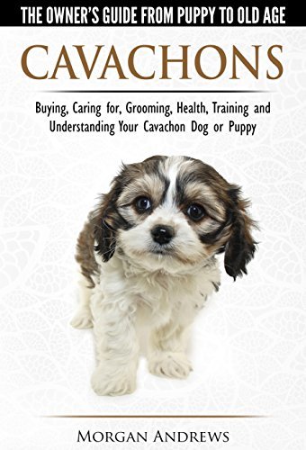 Cavachons - The Owner's Guide from Puppy to Old Age - Choosing, Caring ...