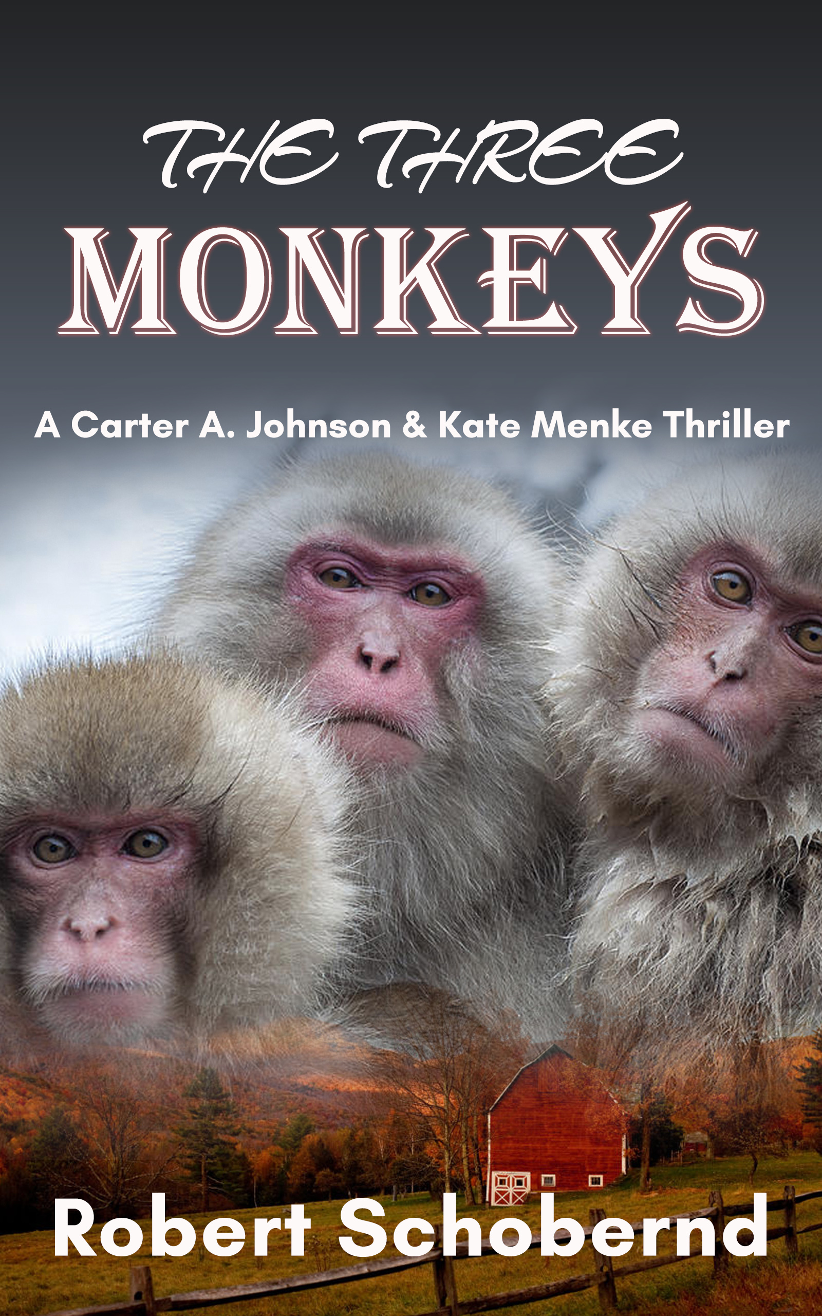 Monkey Kate Johnson