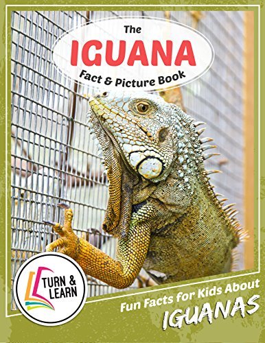 The Iguana Fact and Picture Book: Fun Facts for Kids About Iguanas by ...