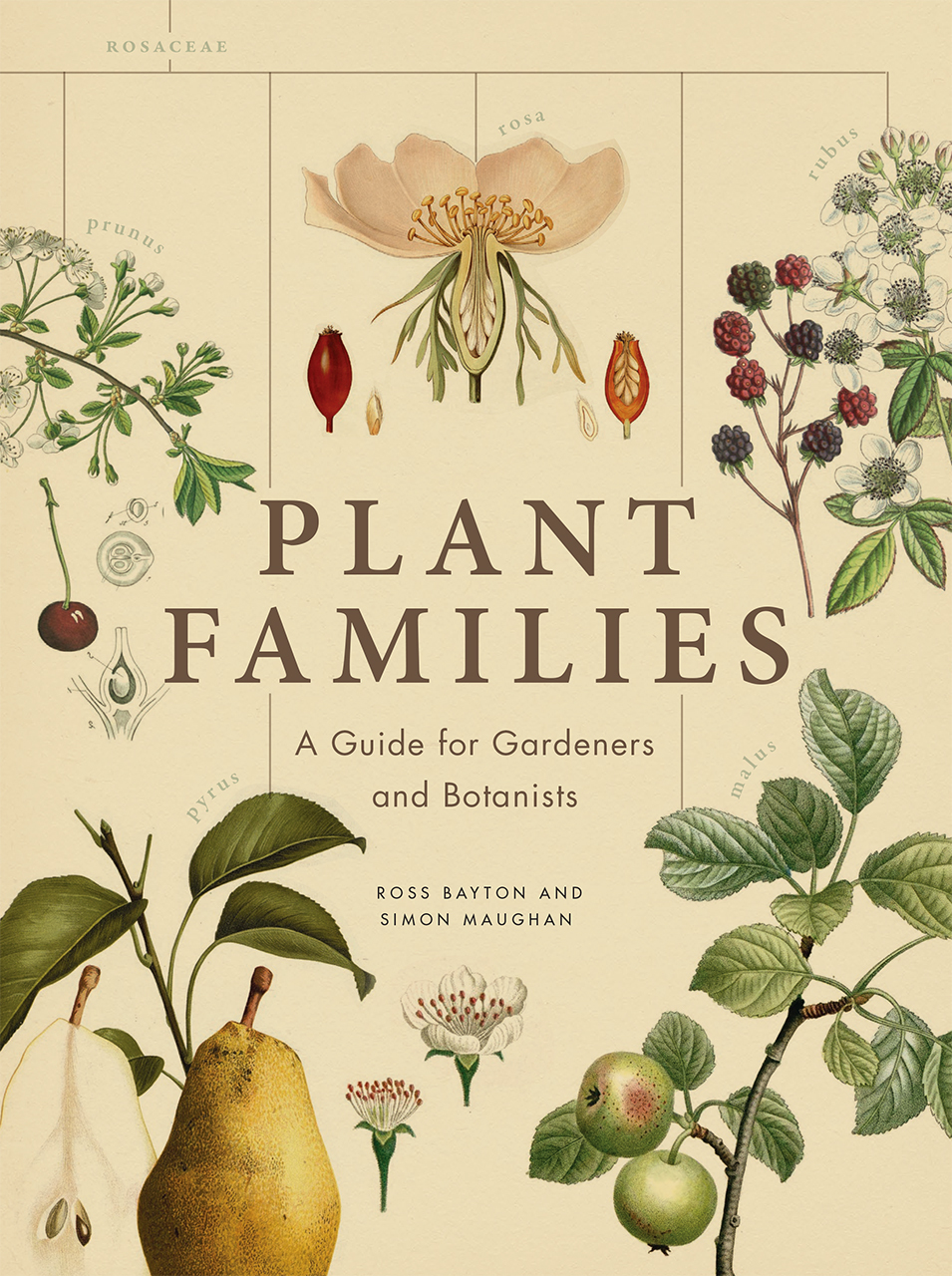 Plant Families: A Guide for Gardeners and Botanists by Ross Bayton ...