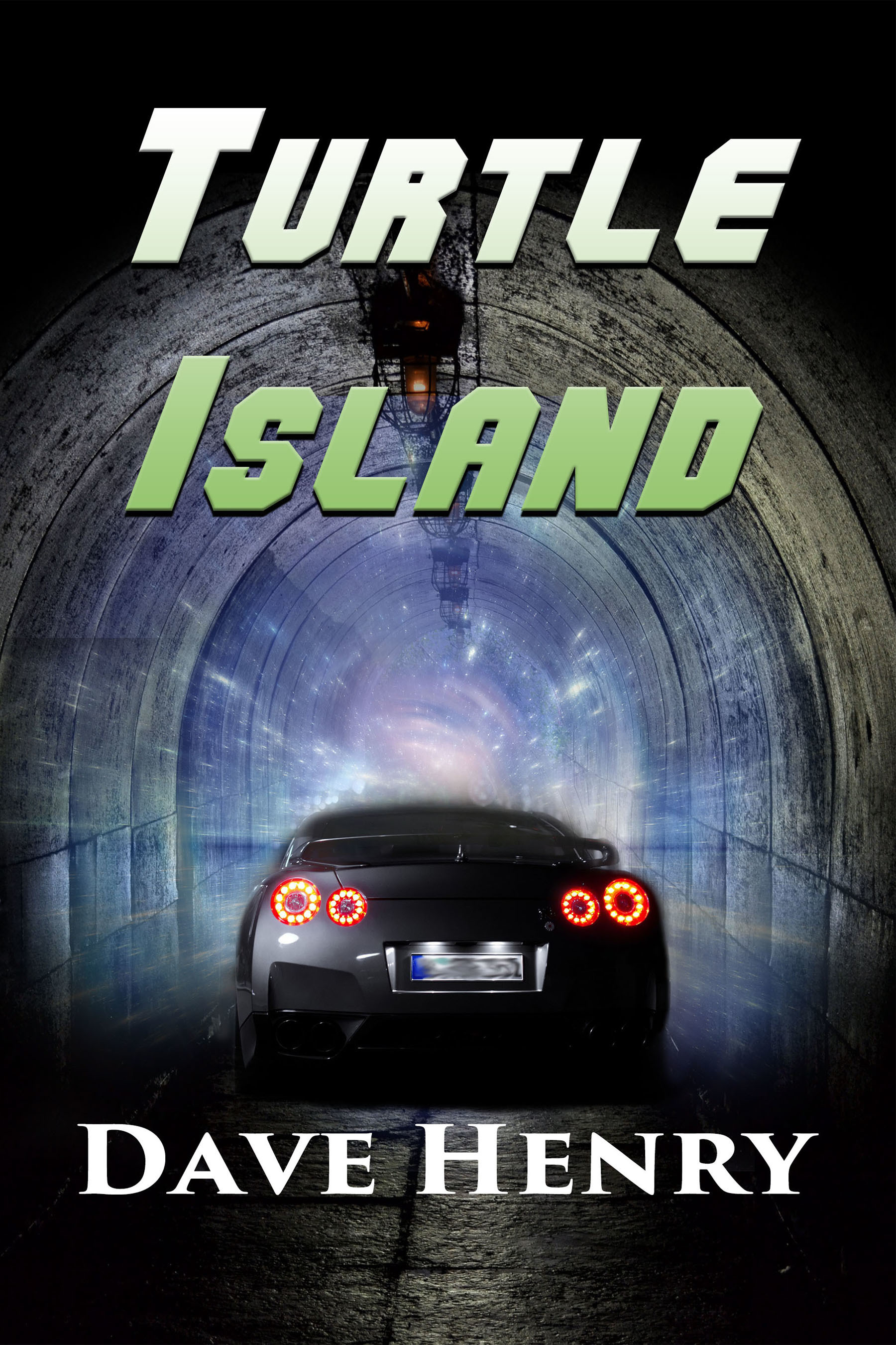 Turtle Island by Dave Henry | Goodreads