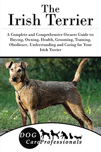 The Irish Terrier: A Complete and Comprehensive Owners Guide to: Buying ...