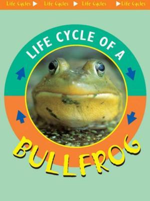 Life Cycle of a Bullfrog by Jason Cooper | Goodreads