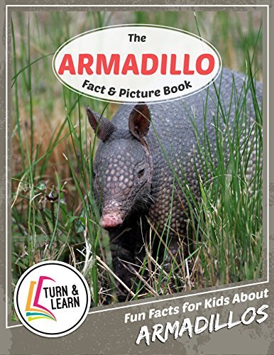 The Armadillo Fact and Picture Book: Fun Facts for Kids About Armadillos by Gina McIntyre ...