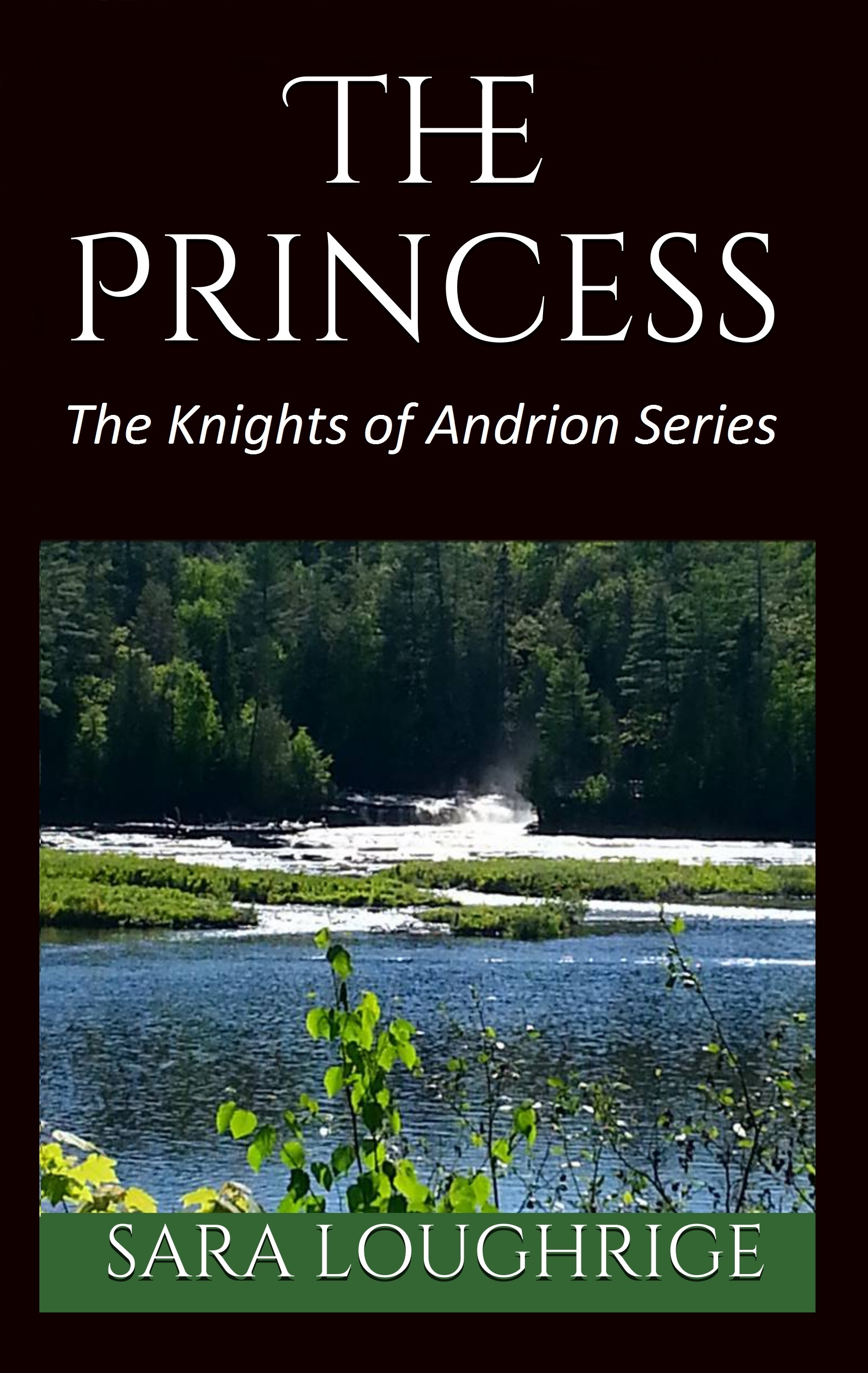 The Princess (Knights of Andrion, #1) by Sara Loughrige | Goodreads