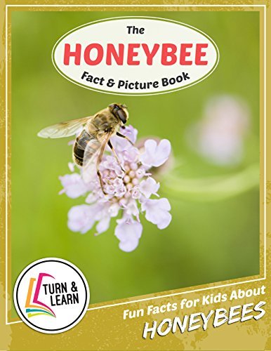 The Honey Bee Fact and Picture Book: Fun Facts for Kids About Honey ...