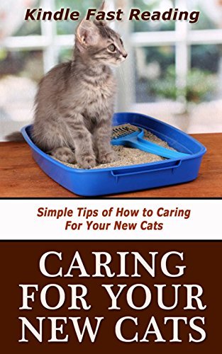 Caring For Your New Cats: Simple Tips of How to Caring For Your New ...