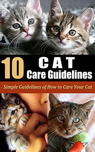 10 Cat Care Guidelines: Simple Guidelines of How to Care Your Cat by ...