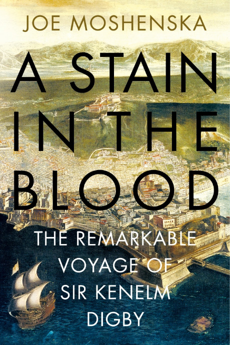 A Stain in the Blood: The Remarkable Voyage of Sir Kenelm Digby by Joe ...