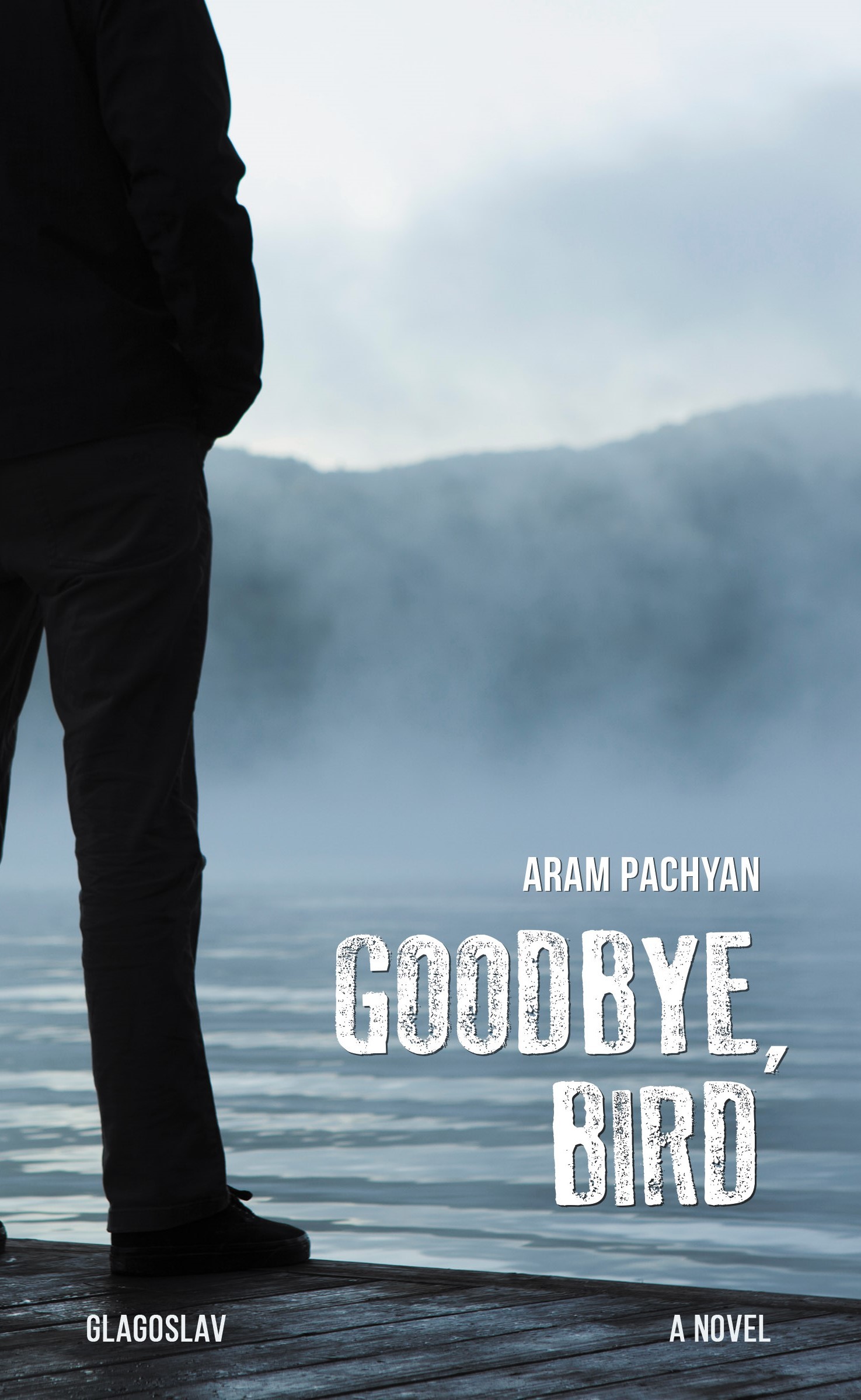Goodbye, Bird by Aram Pachyan | Goodreads