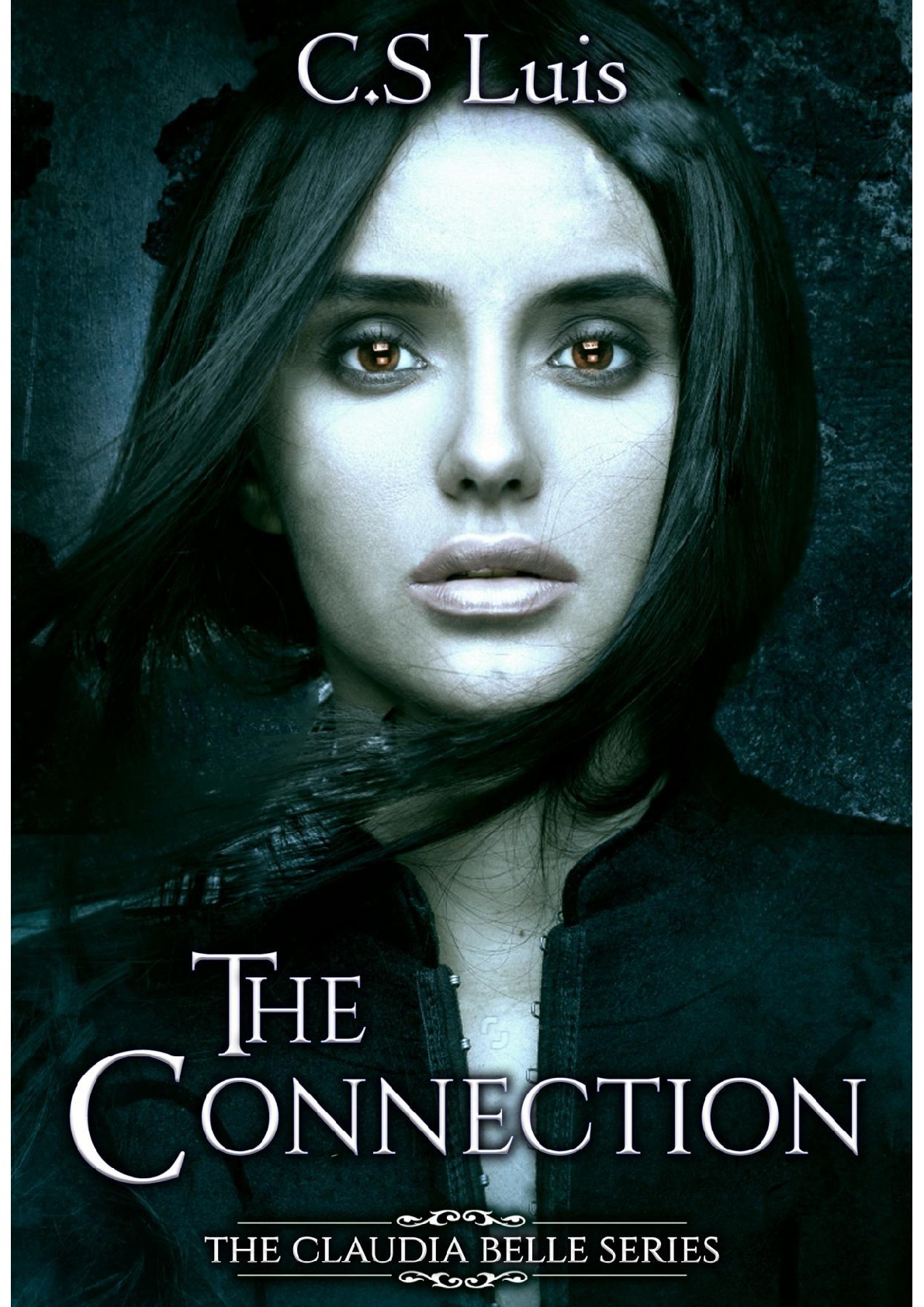 The Connection (Claudia Belle #3) by C.S. Luis | Goodreads