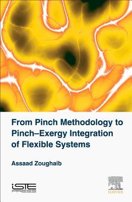 From Pinch Methodology to Pinch-Exergy Integration of Flexible Systems ...