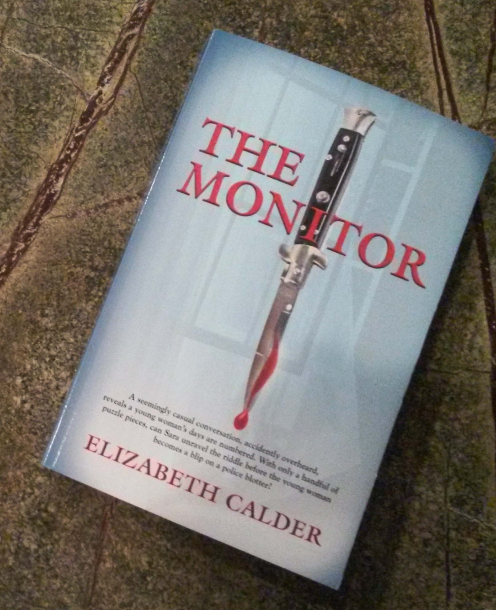 The Monitor by Elizabeth Calder | Goodreads