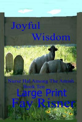 Joyful Wisdom: Nurse Hal Among The Amish by Fay Risner | Goodreads