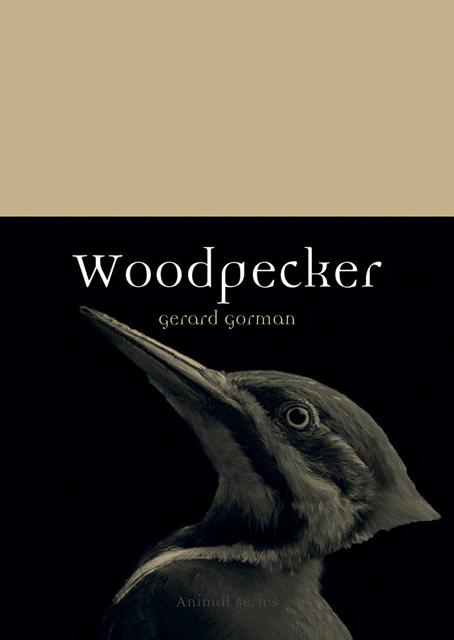 Woodpecker (Animal) by Gerard Gorman | Goodreads
