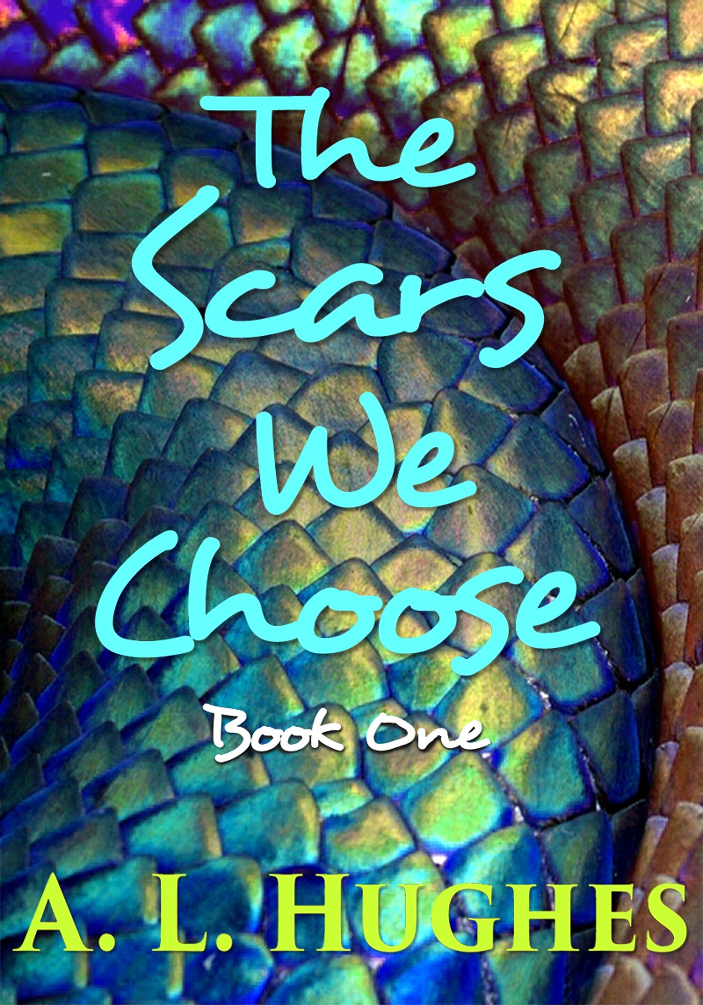 The Scars We Choose: Book One by A.L. Hughes | Goodreads