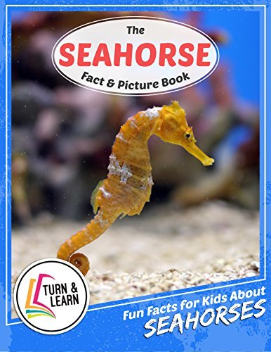 The Seahorse Fact and Picture Book: Fun Facts for Kids About Seahorses ...