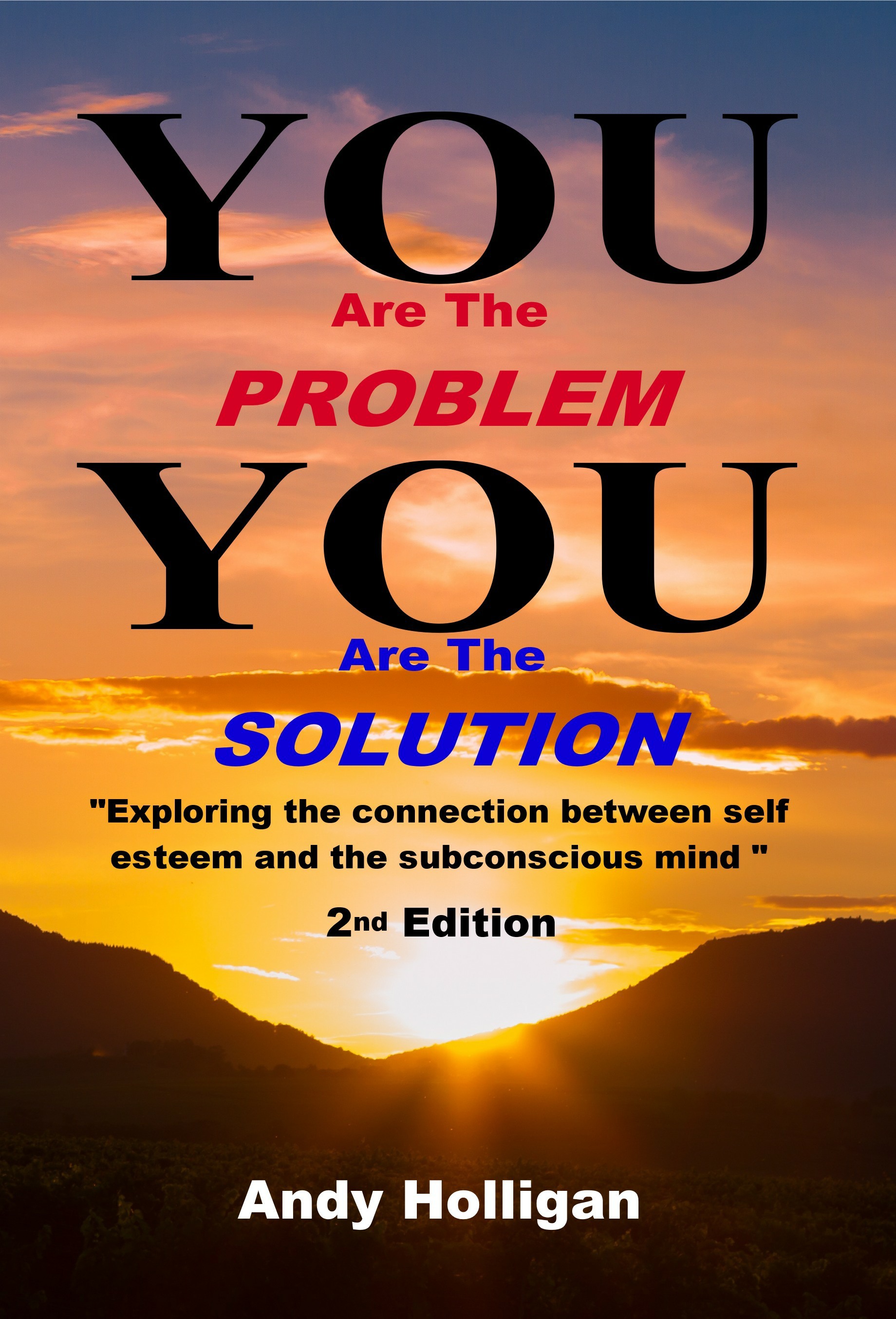 You are the Problem, You are the Solution by Andy Holligan | Goodreads