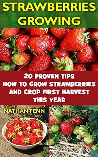 Strawberries Growing: 20 Proven Tips How To Grow Strawberries And Crop ...
