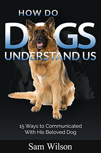 How do Dogs Understand Us: 15 Ways To Communicate With His Beloved Dog ...