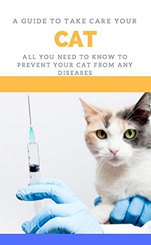 A Guide To Take Care Your Cat, All You Need To Know To Prevent Your Cat ...
