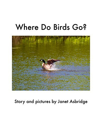 Where Do Birds Go by Janet Asbridge | Goodreads