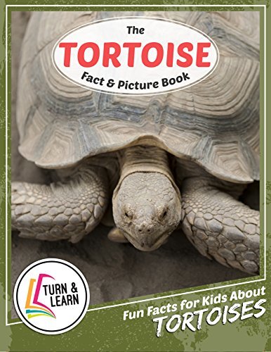 The Tortoise Fact and Picture Book: Fun Facts for Kids About Tortoises ...