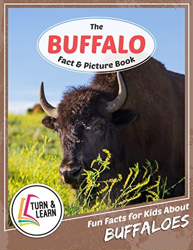 The Buffalo Fact and Picture Book: Fun Facts for Kids About Buffaloes ...