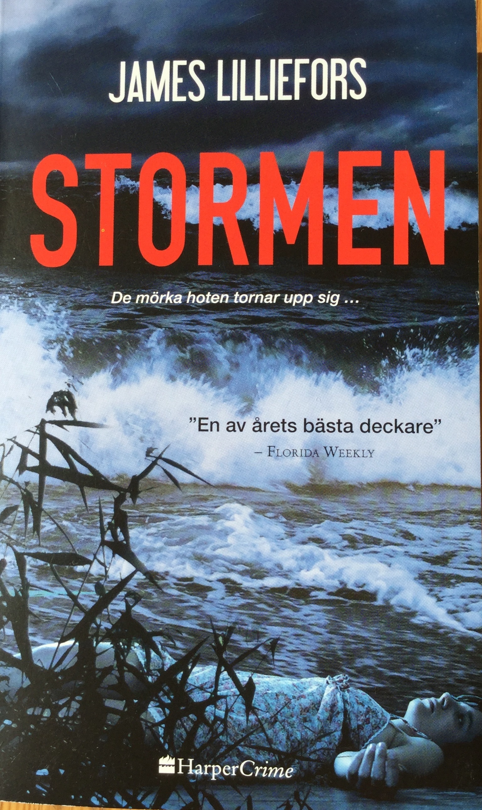 Stormen by James Lilliefors | Goodreads