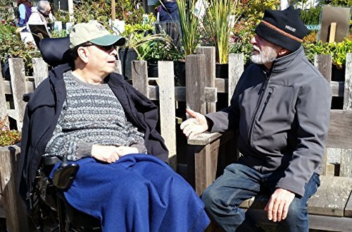 The Zimbabwean’s Collection of Short Stories by Clive Aaron Gill ...